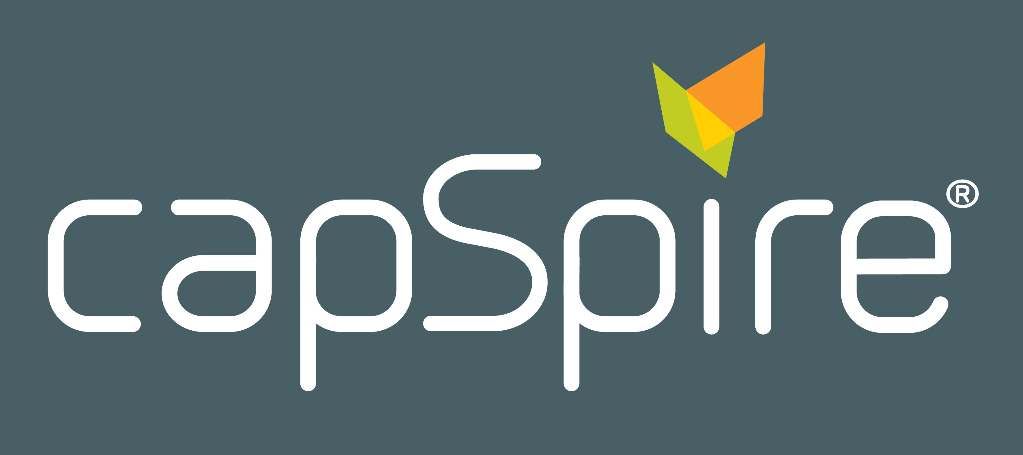 Working at capSpire | Great Place To Work® UK