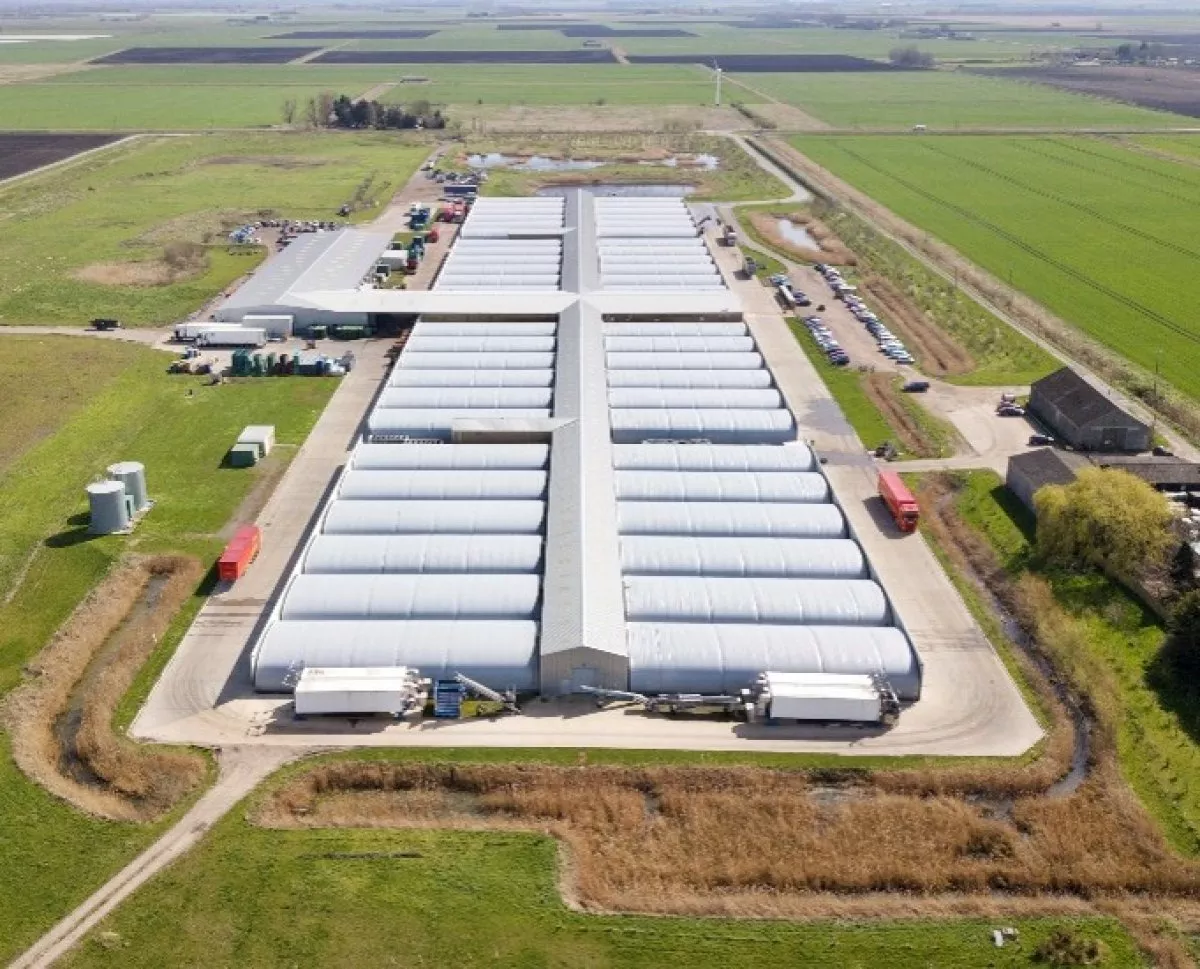 Working at Littleport Mushroom Farms | Great Place To Work® UK